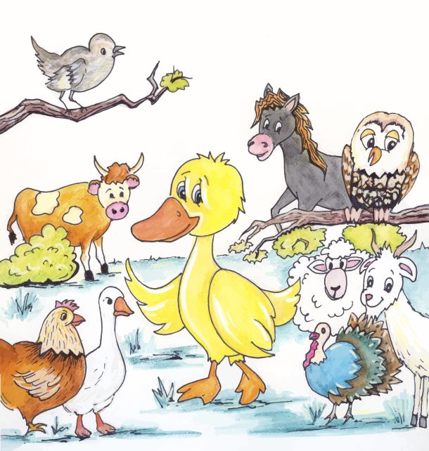 Razveselimo pačića – Wish